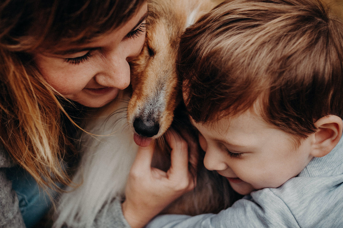 Pets and Children: Teaching Kids Responsibility and Respect for Animal
